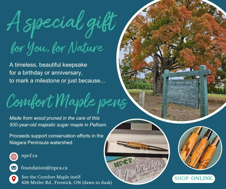 In the Media — Niagara Peninsula Conservation Foundation