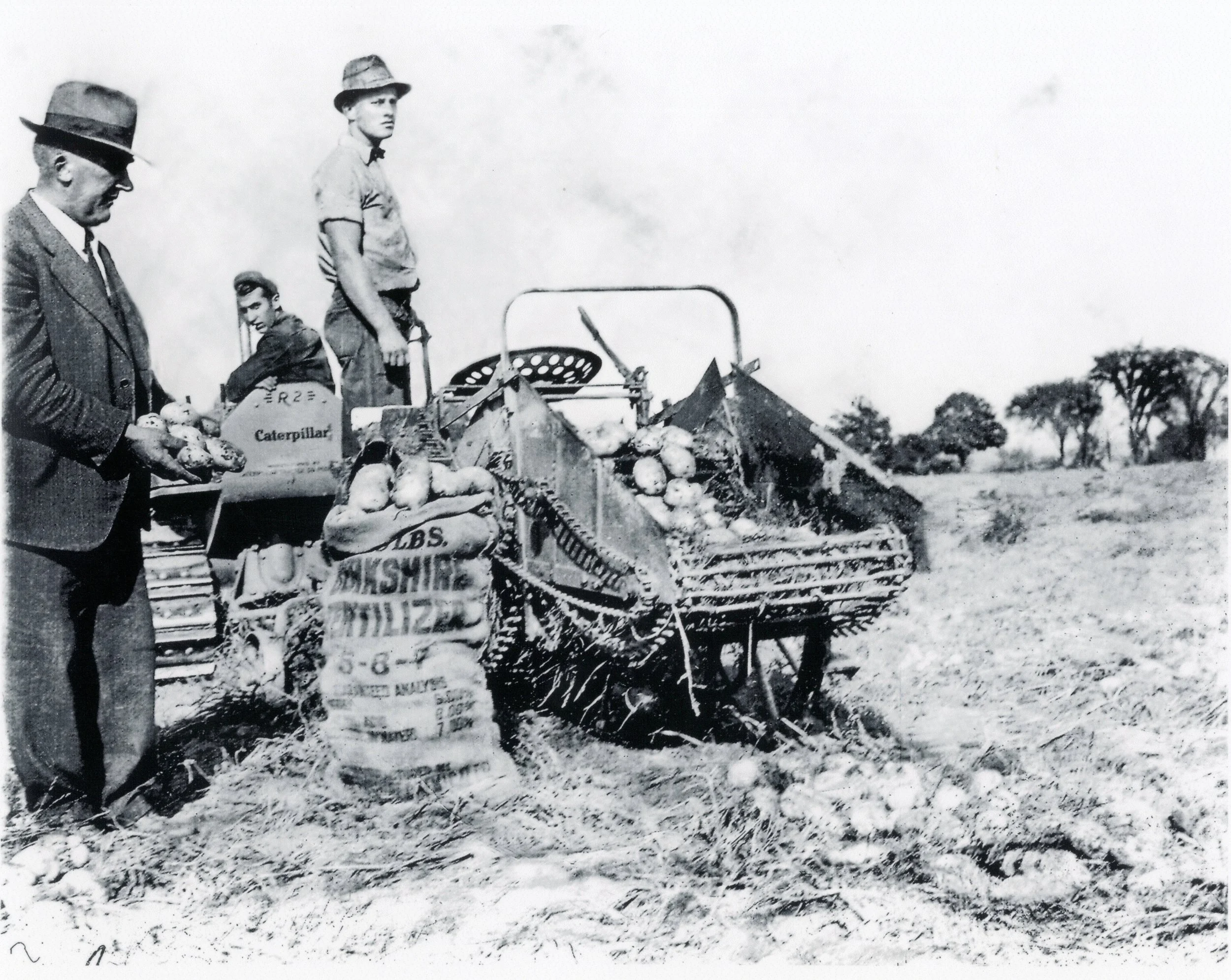 Family History — SWAZ Potato Farms