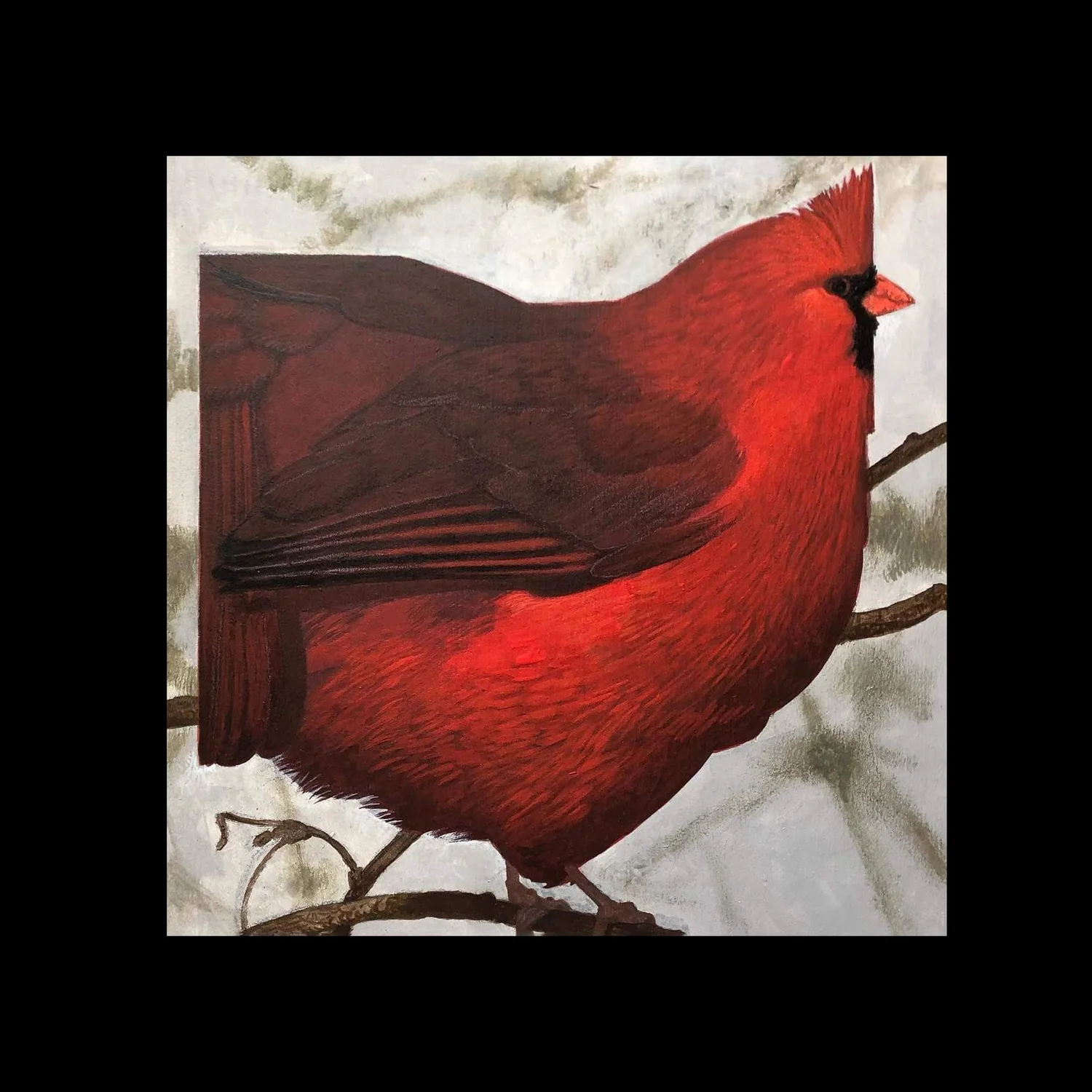 Winter Cardinal Images