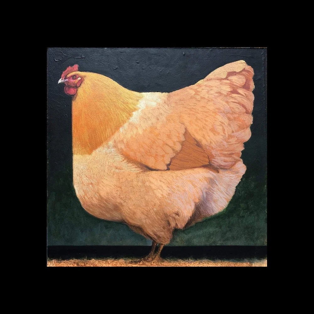 Chicken Print