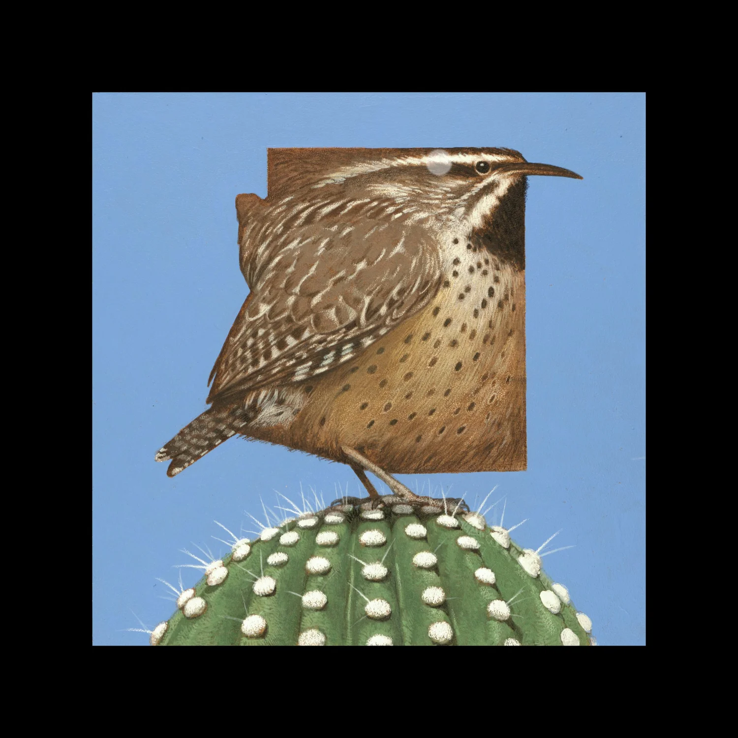Cactus Wren In A Cactus