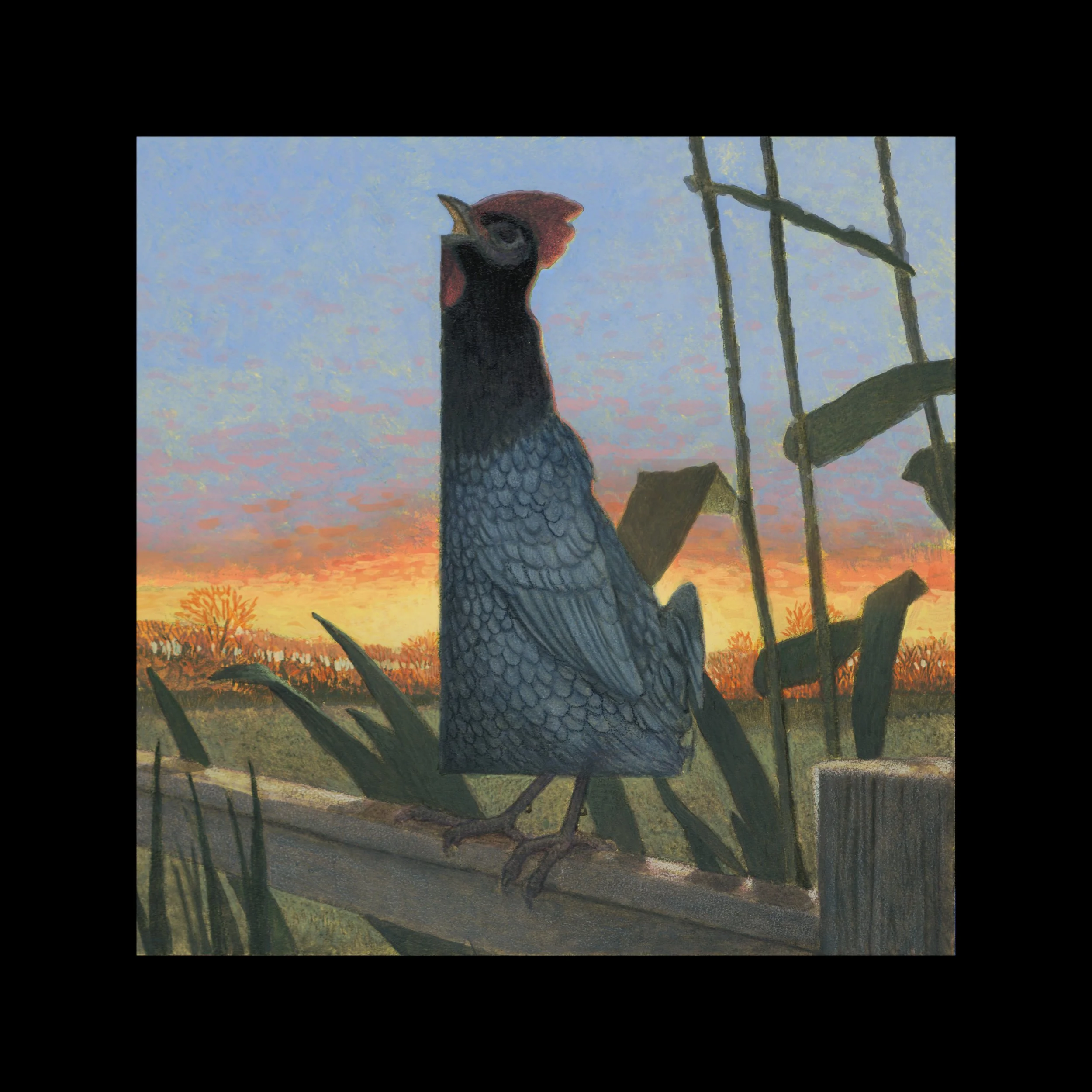 Delaware Blue Hen — Giclee42