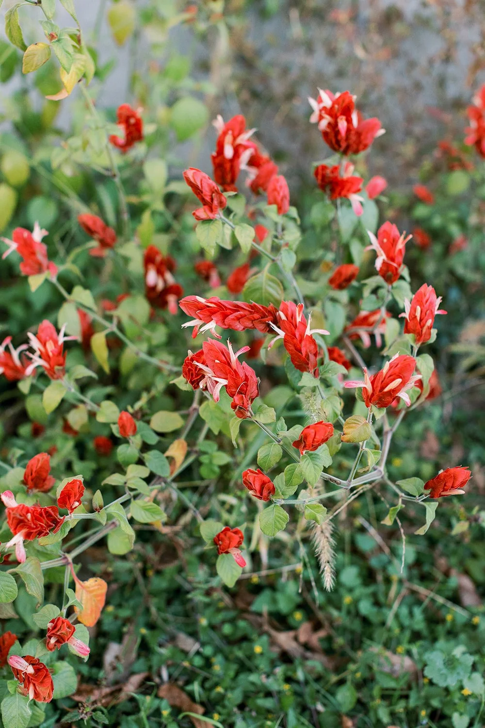 At Home with Texas Beeworks — Jenna McElroy