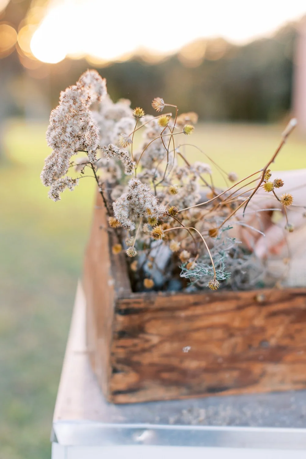 At Home with Texas Beeworks — Jenna McElroy