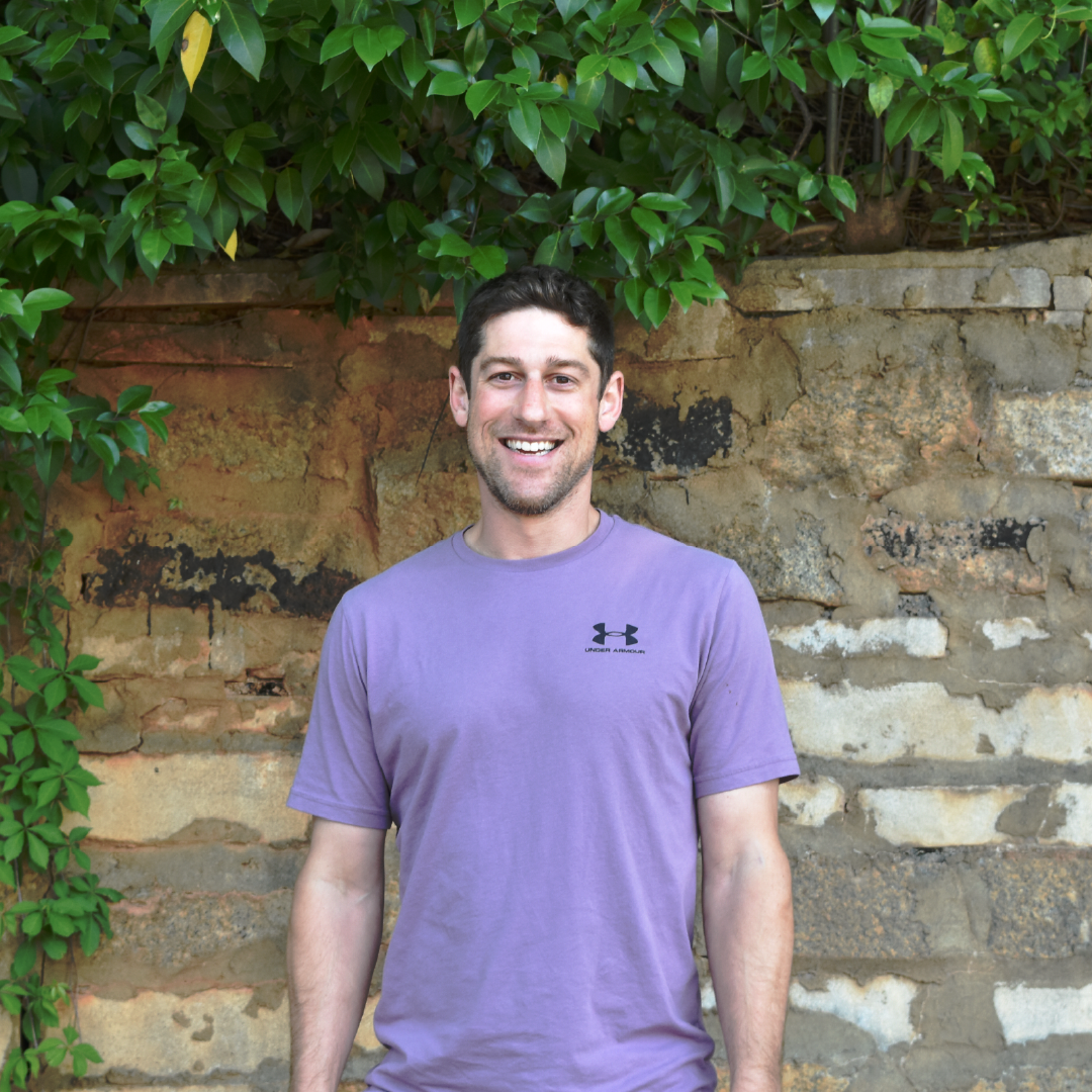 The Team — The Bulb