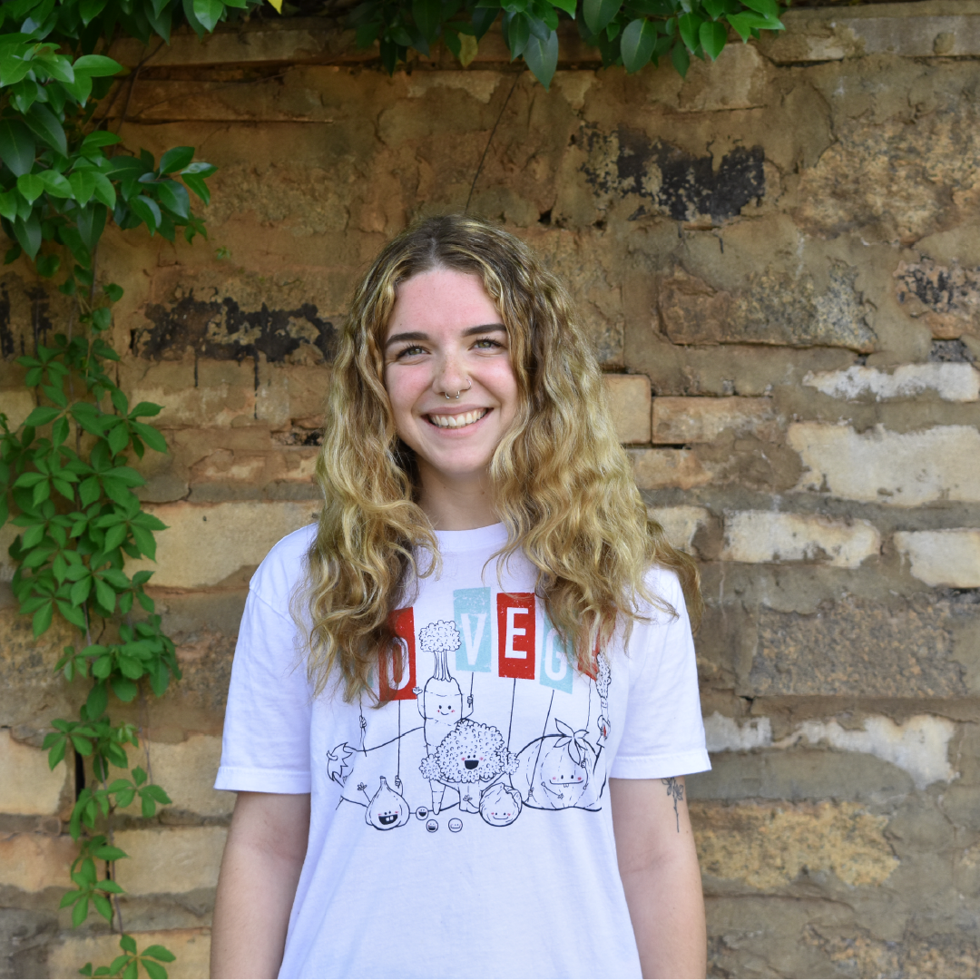 The Team — The Bulb