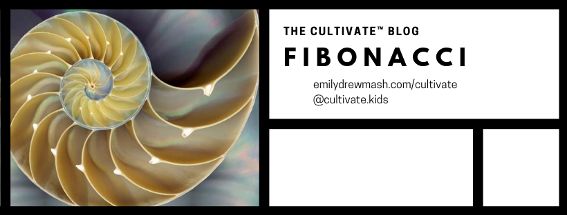 Fibonacci Spiral In Nature Shell