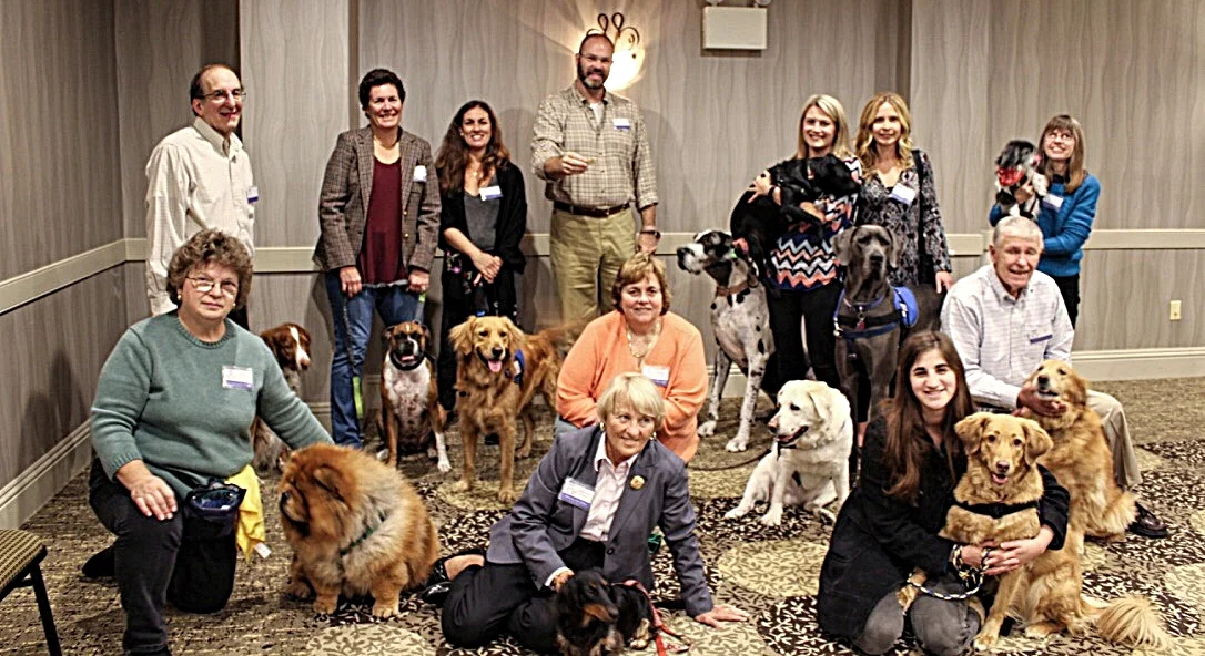 How to Join — Comfort Caring Canines