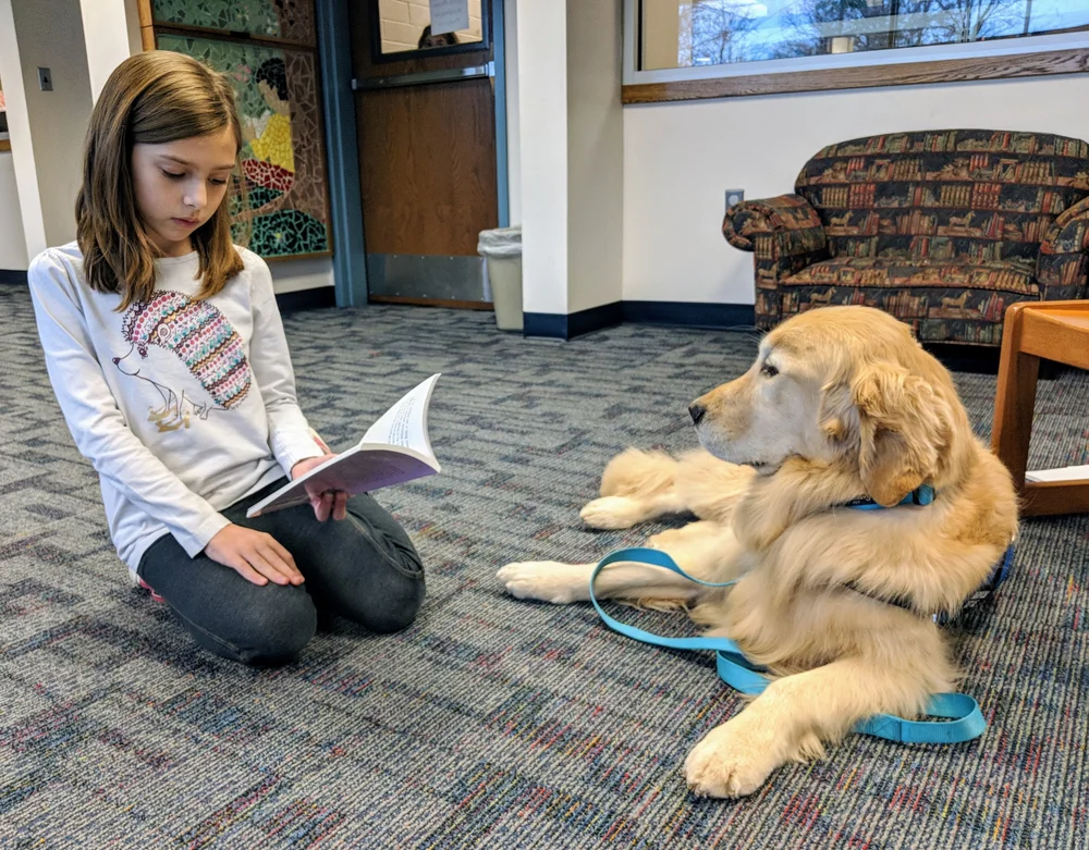 Comfort Caring Canines Therapy Dogs, Inc. 52 W Third Ave P.O. Box 26602 ...