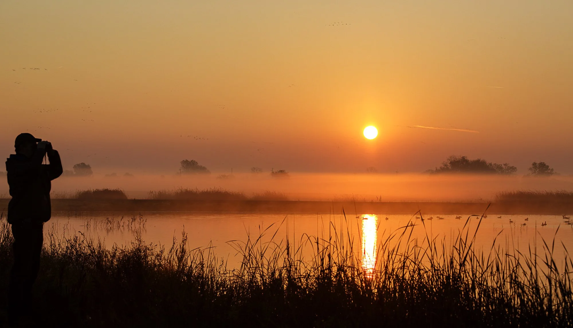 The Delta Reform Act Explained — California Water Impact Network