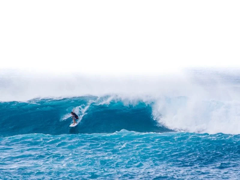 5 Fascinating Facts about Barrel Waves — Big Wave Dave Surf & Coffee