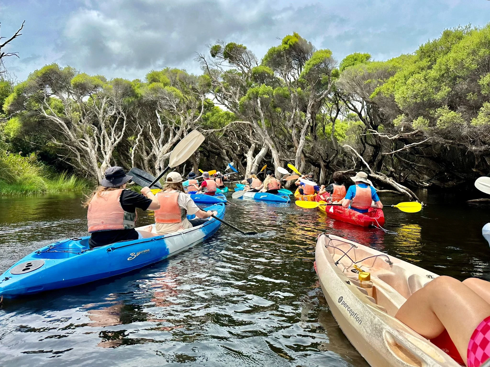 Catholic Private School Perth - Seton Catholic College