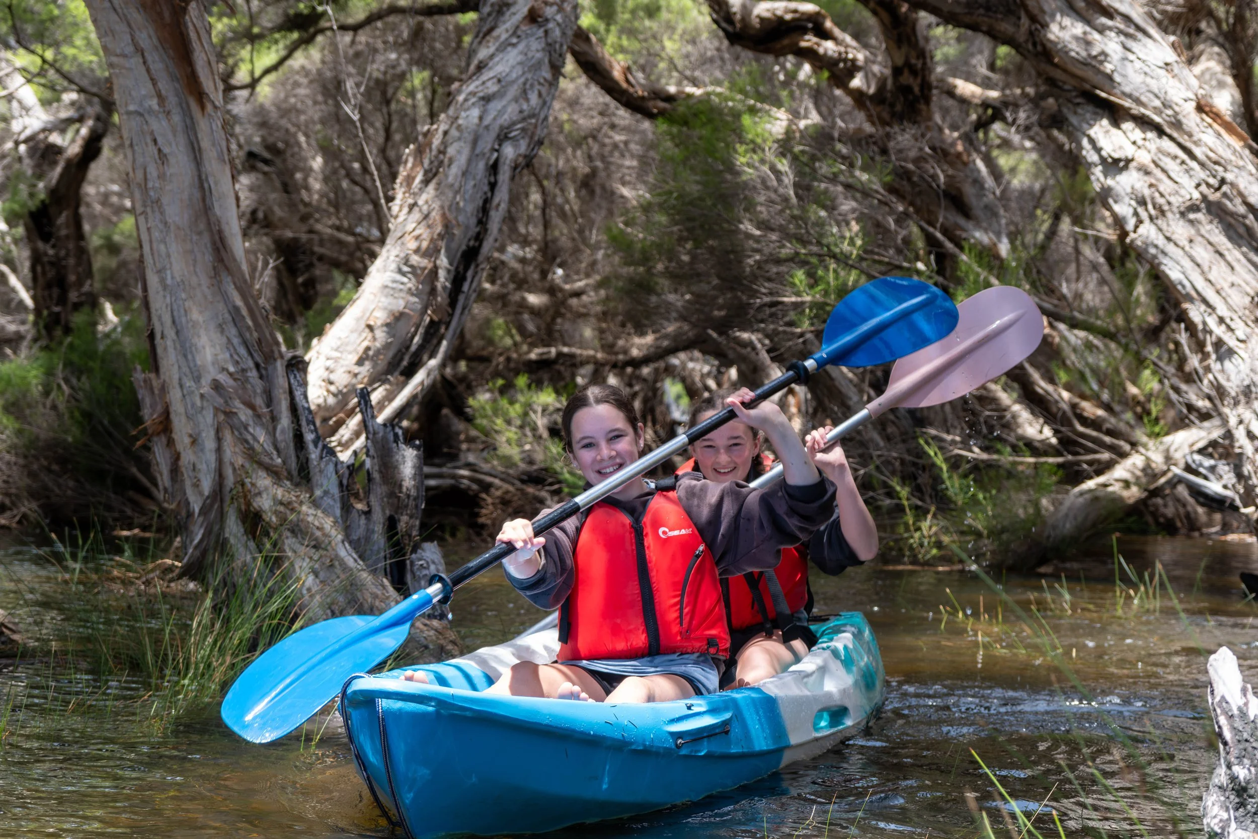 Catholic Private School Perth - Seton Catholic College
