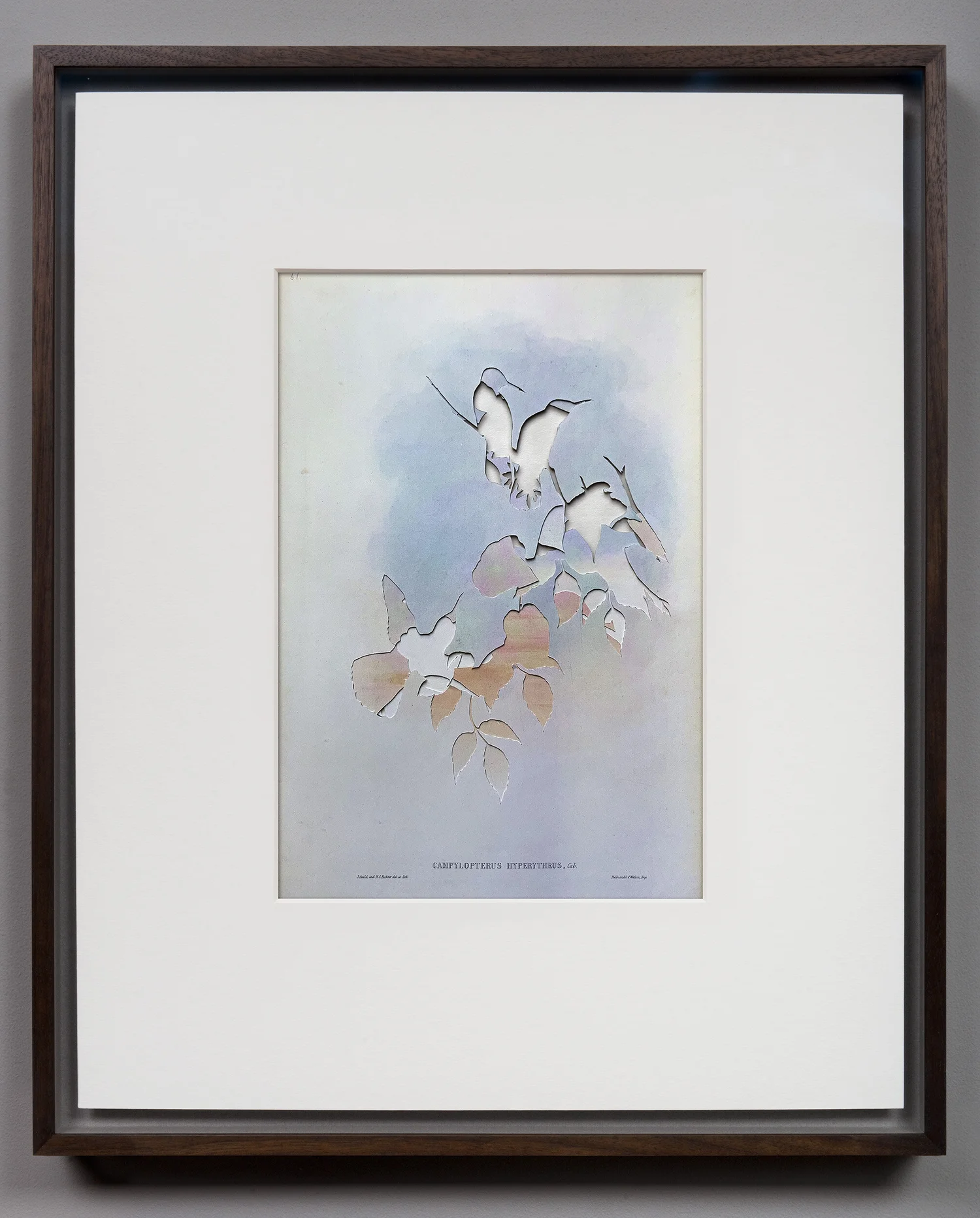 Tom Gallant -- COLLECTIONS