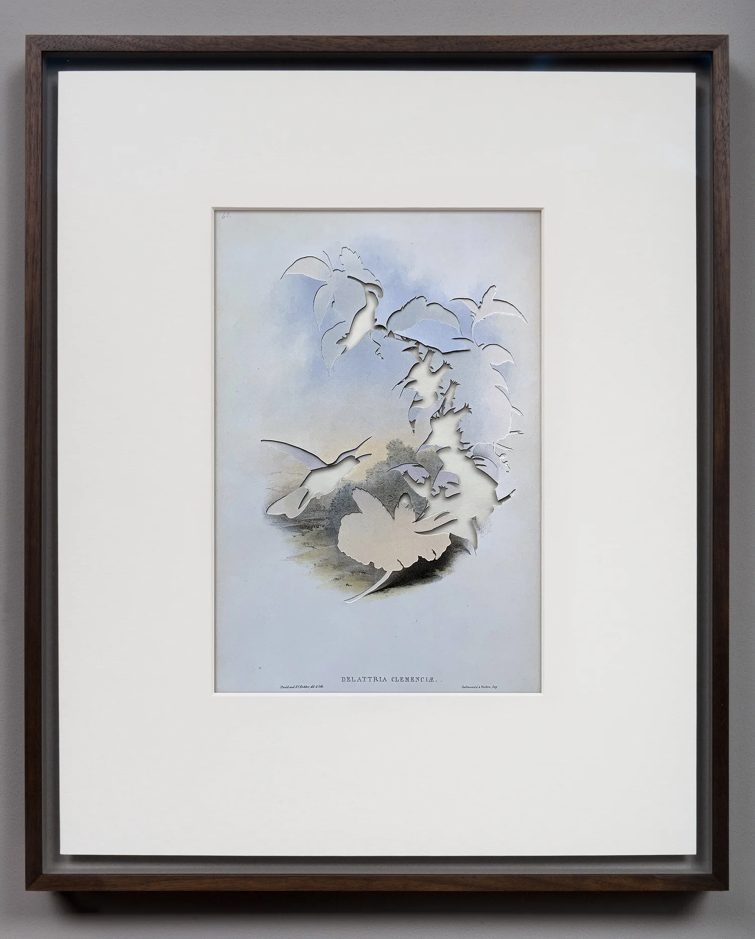 Tom Gallant -- COLLECTIONS