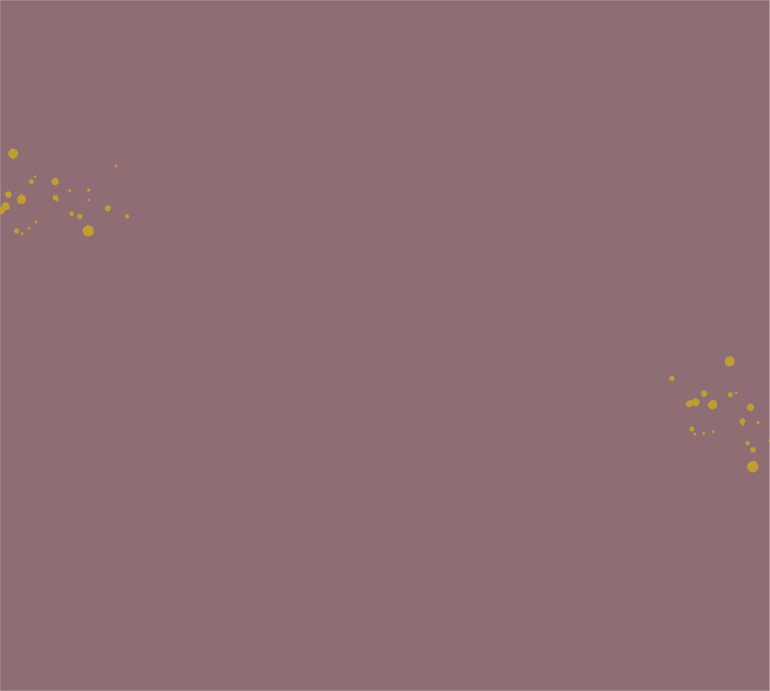 Dressed Up By Bella Mia