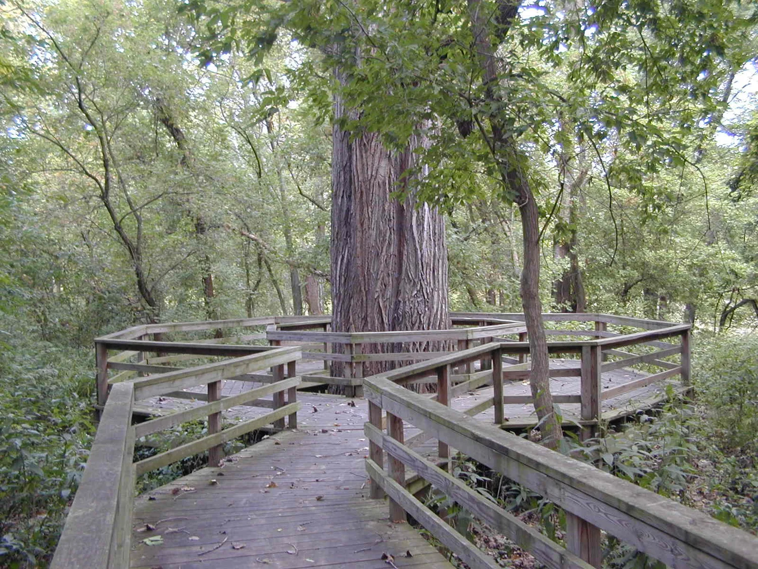 Black River Reservation — Lorain County Metro Parks