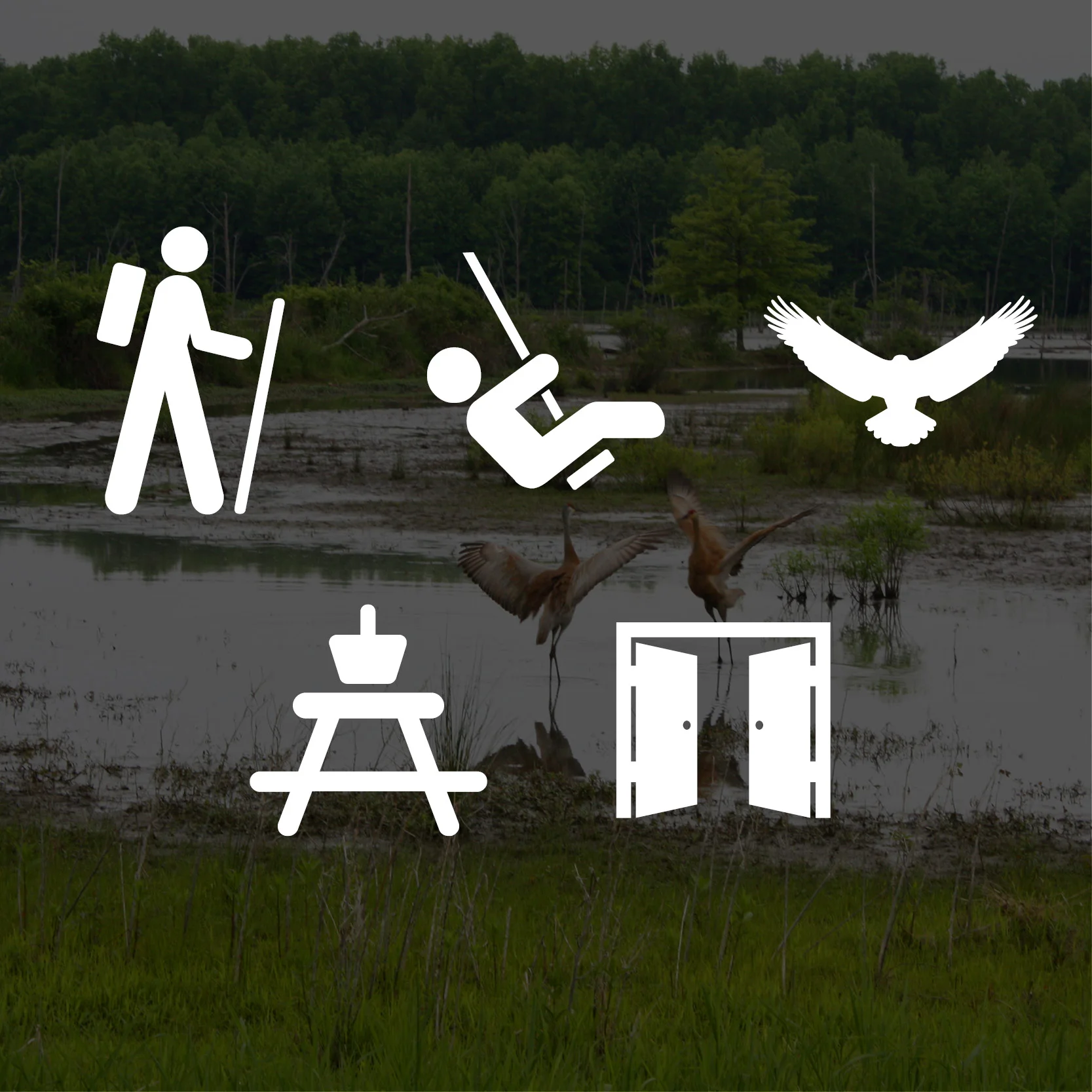Sandy Ridge Reservation — Lorain County Metro Parks