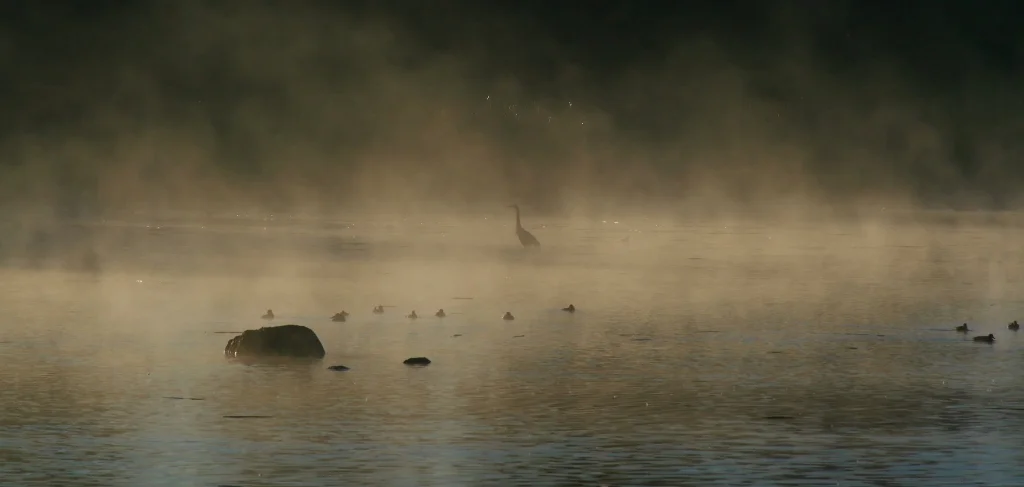 Sandy Ridge Reservation - Info — Lorain County Metro Parks