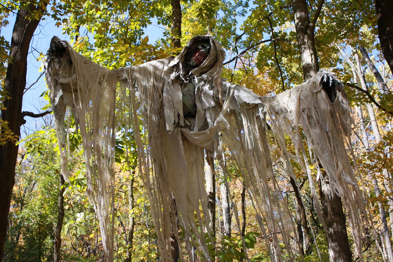 Halloween Fair - FAQ — Lorain County Metro Parks