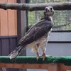 Raptor Center — Lorain County Metro Parks