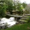 Chocorua Community Association