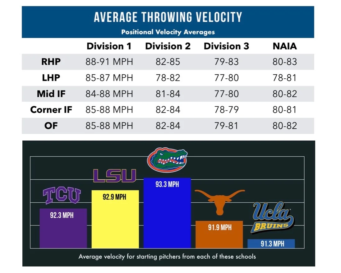 Velocity Program For Baseball