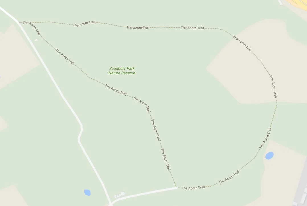 The Acorn Trail — Scadbury Park
