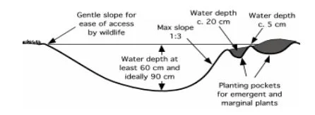 Ponds — Scadbury Park