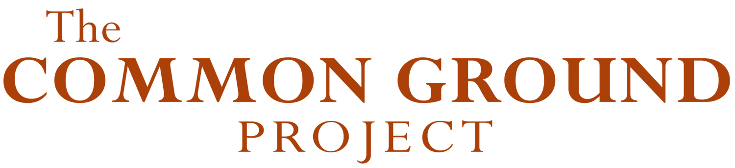 Our Theory of Change — The Common Ground Project