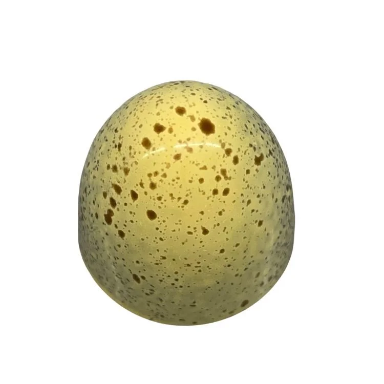 The Seasons Greetings Collection — Yeti Chocolates