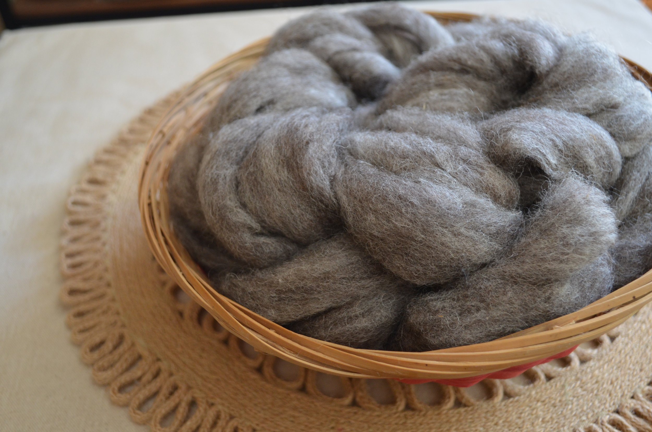 Jacob/Angora Rabbit Blend Roving — A Woolen Forest