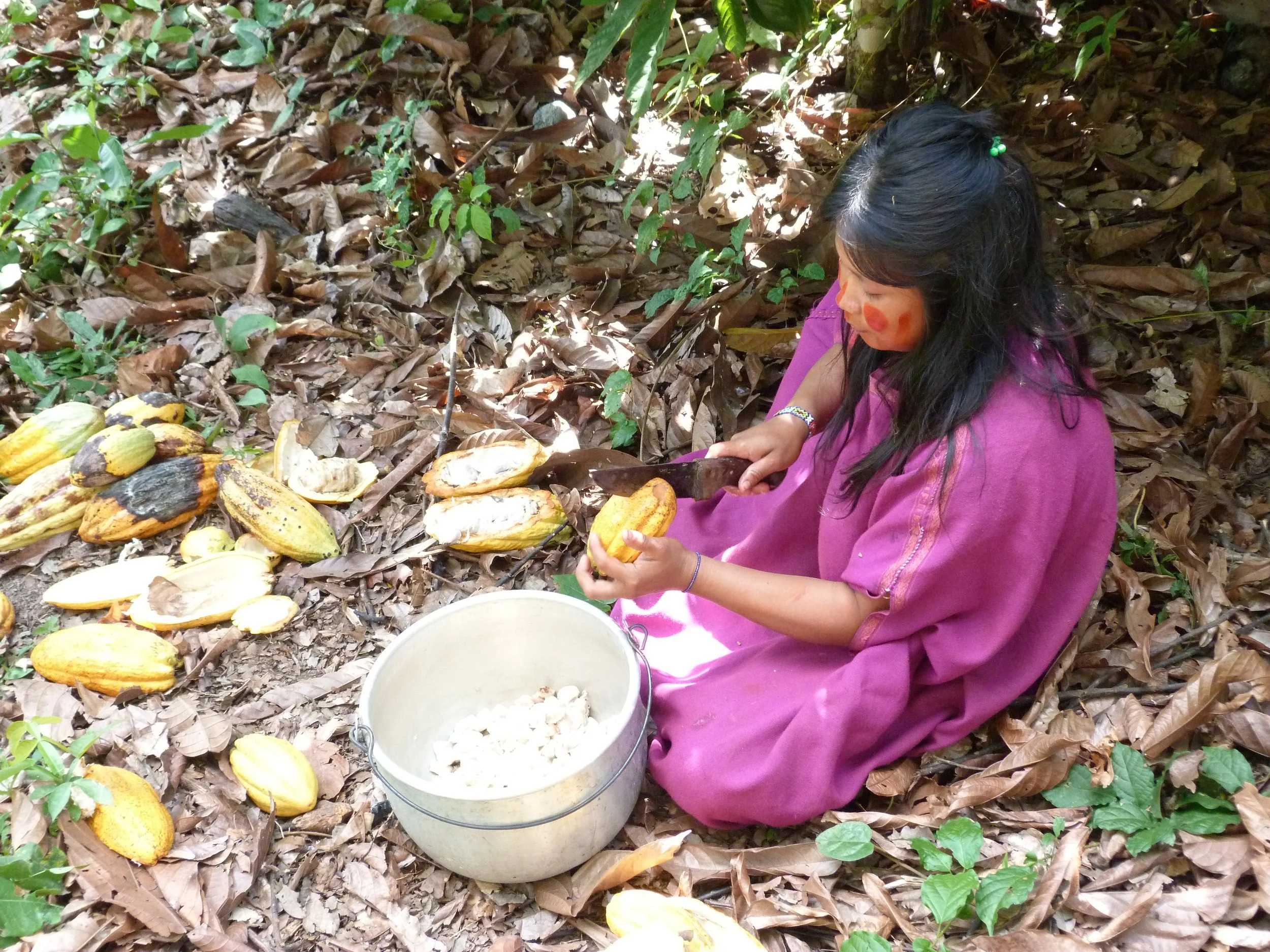 Celebrating the International Day of Indigenous Peoples — Ritual Cacao