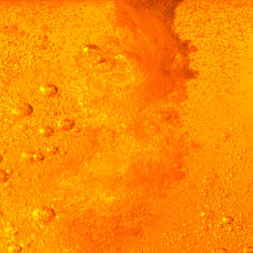 Our beer — Habesha Beer