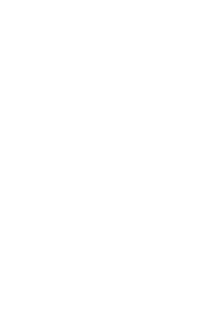 4 Female Artists from the Gulf Coast — Less Than Half