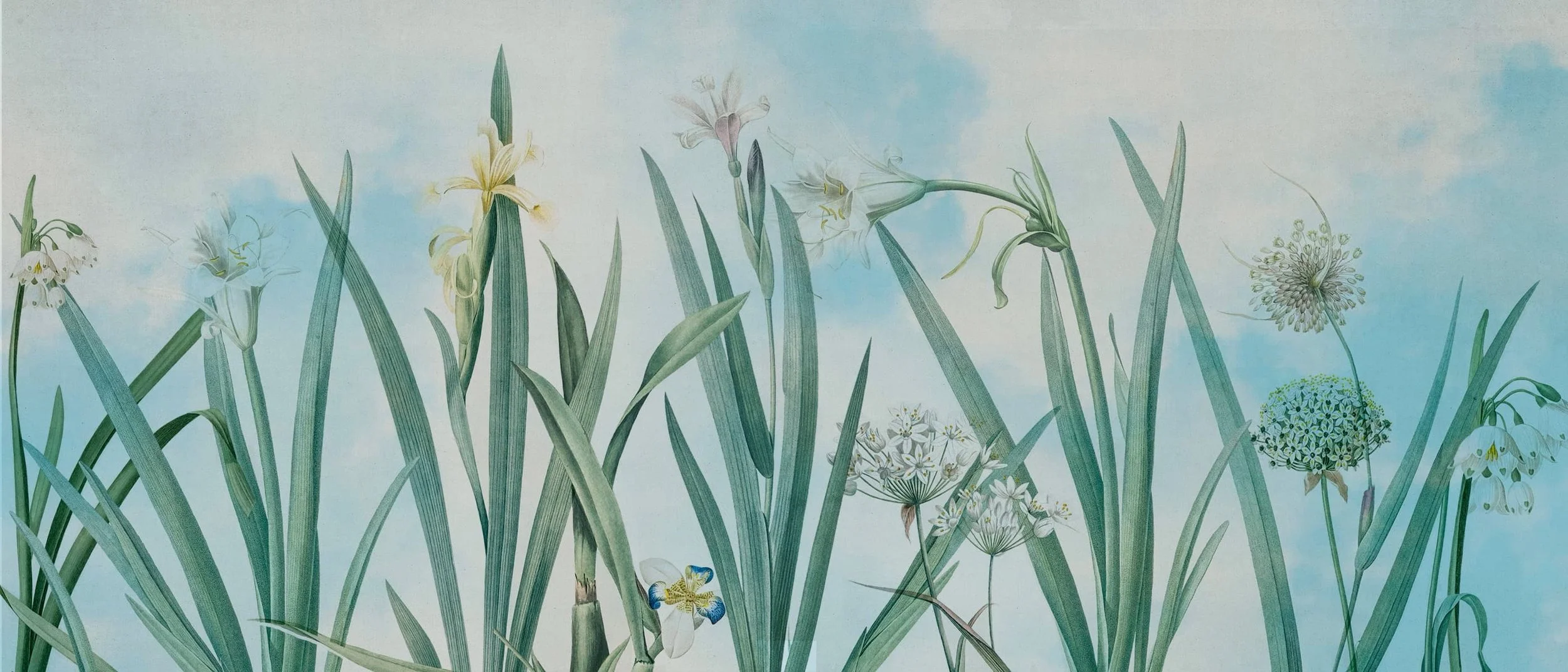 Steven Fox Jewelry | Fine Jewelry - Greenwich, CT