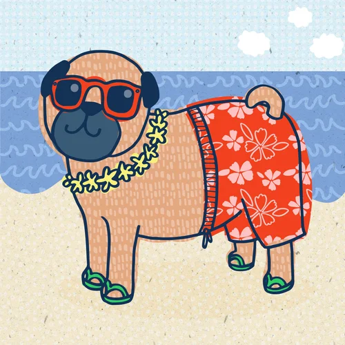 Kellie Jayne Illustration