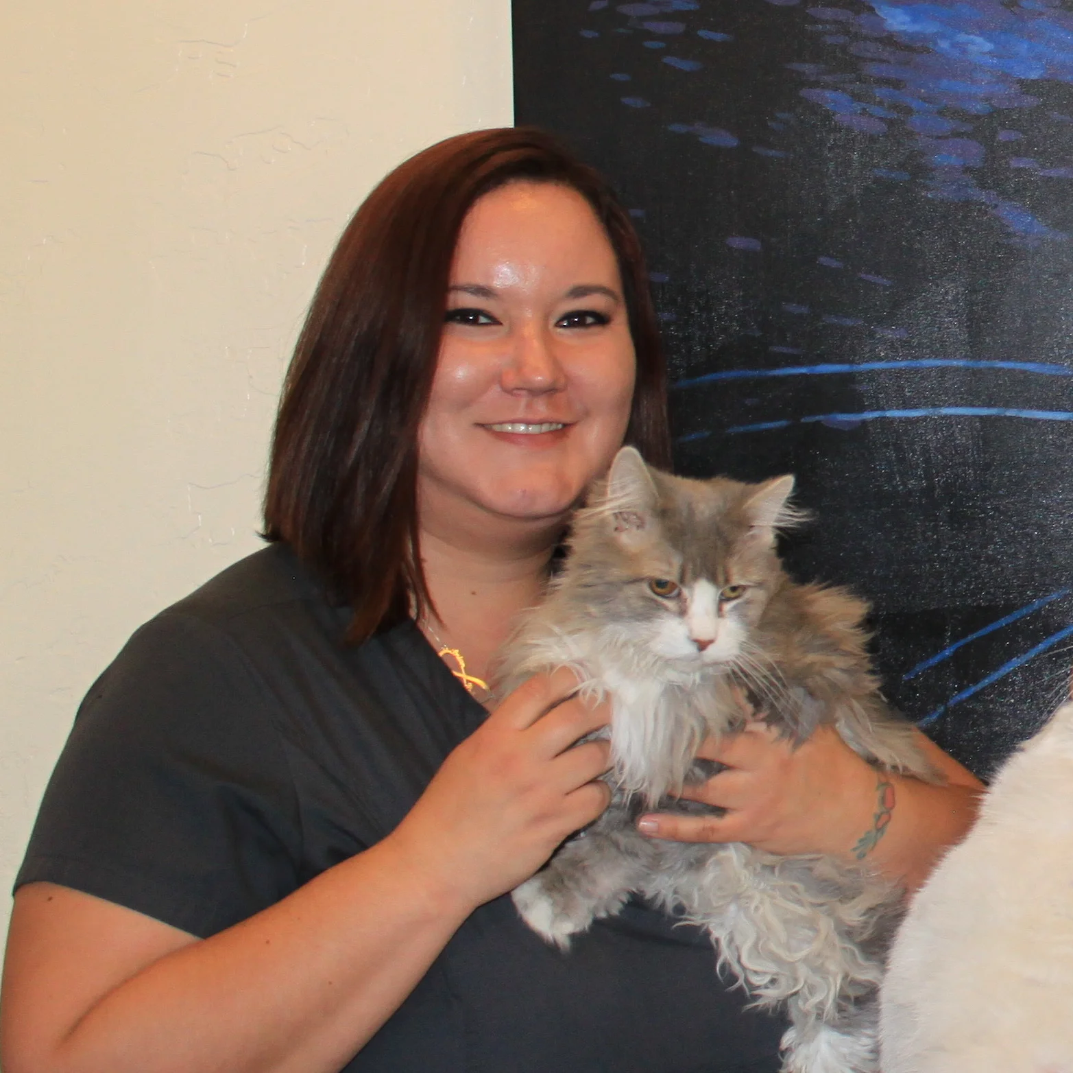 Our CareTeam | Gentle, Compassionate Feline Vet Techs & Office Staff at ...