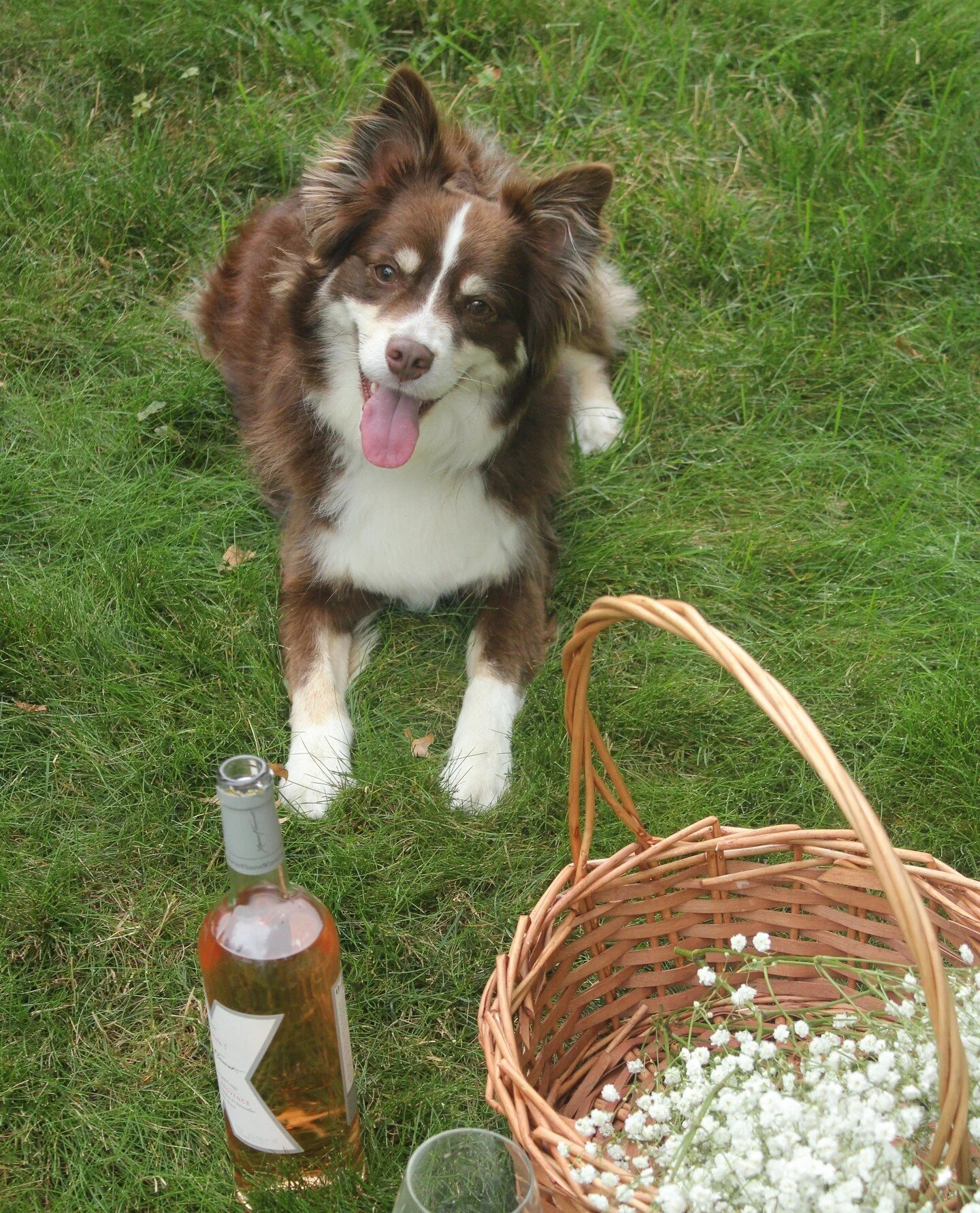 Xavier Flouret Wines - When Authentic Wines Get Personal