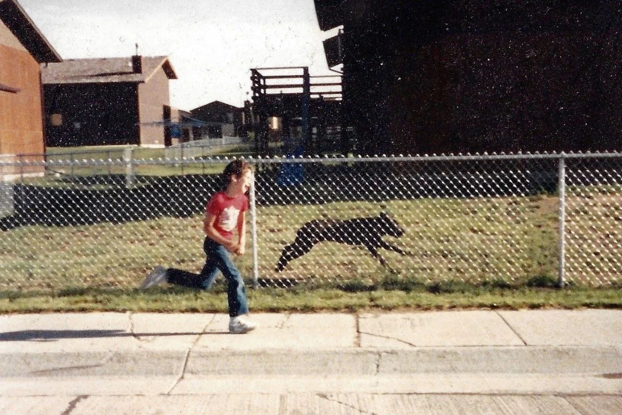 Profile — MAAD Architecture