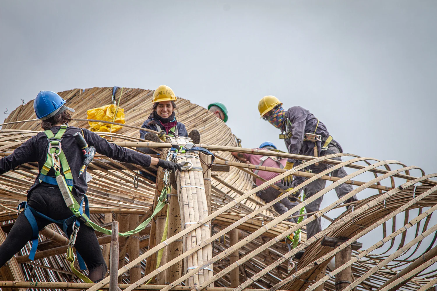 Construcción Toroide — ORGANIZMO