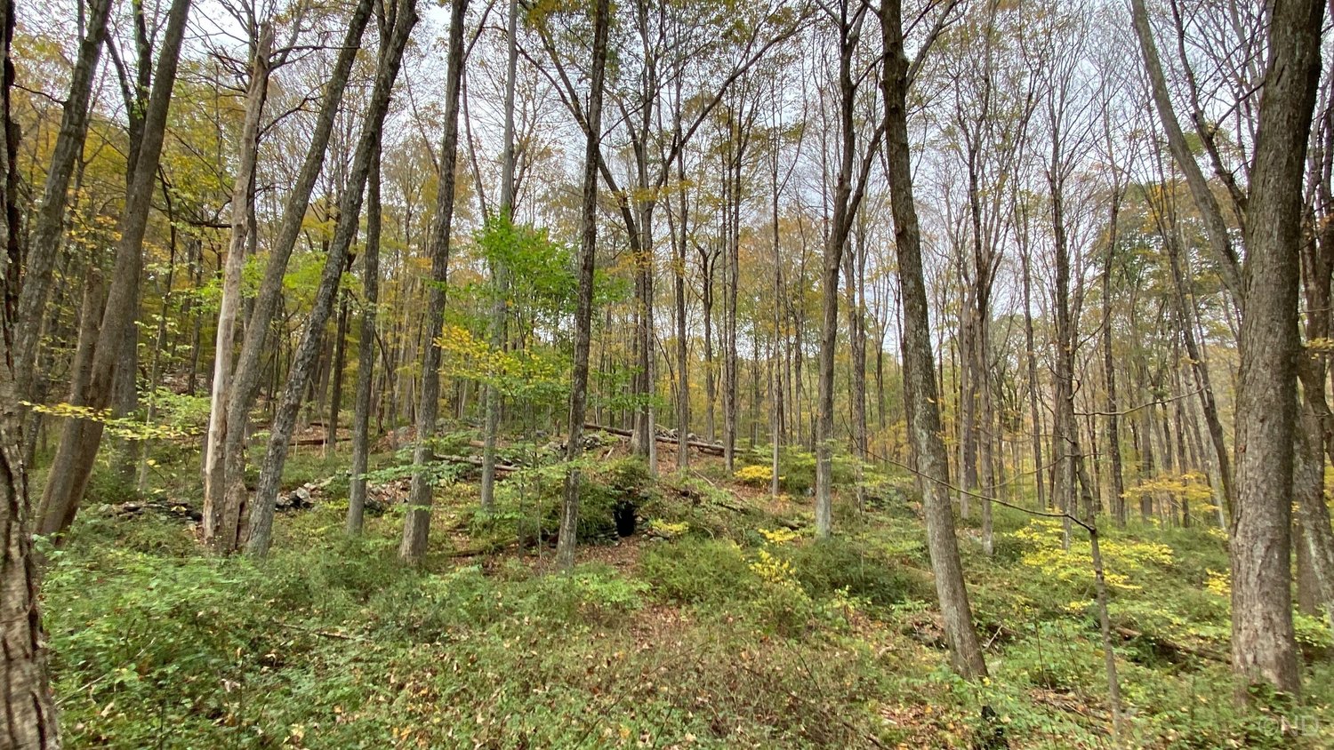 The mysterious stone chambers of Putnam County — HVNY