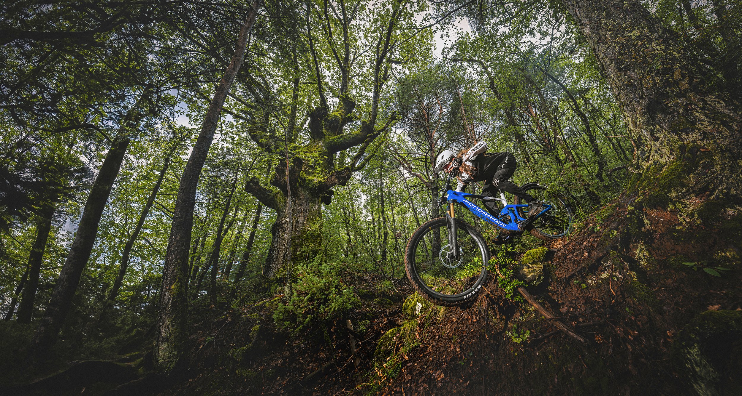 Specialist Bike Shop - Boost Bike Hub