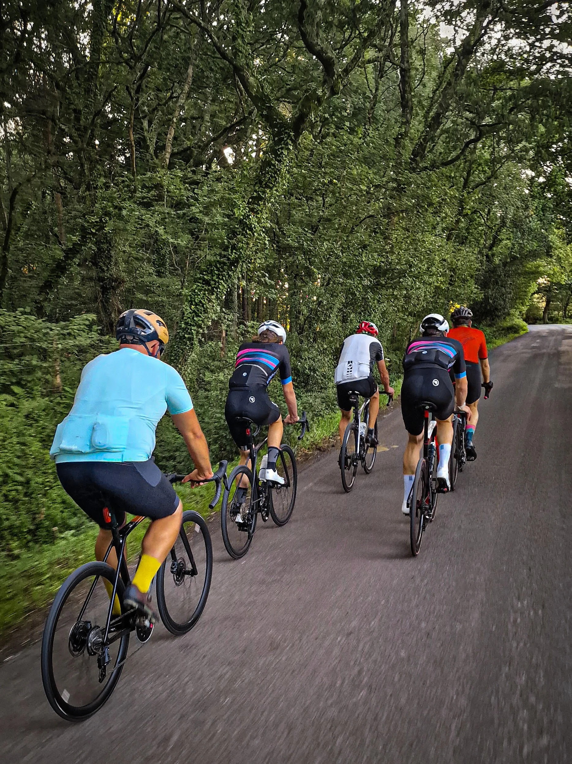 Specialist Bike Shop - Boost Bike Hub