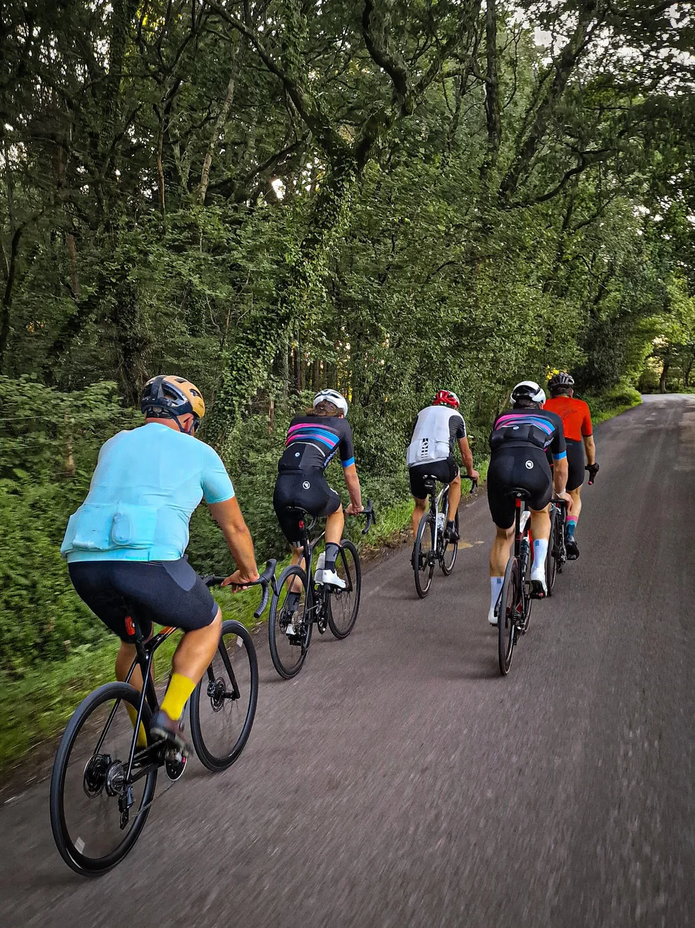 Specialist Bike Shop - Boost Bike Hub