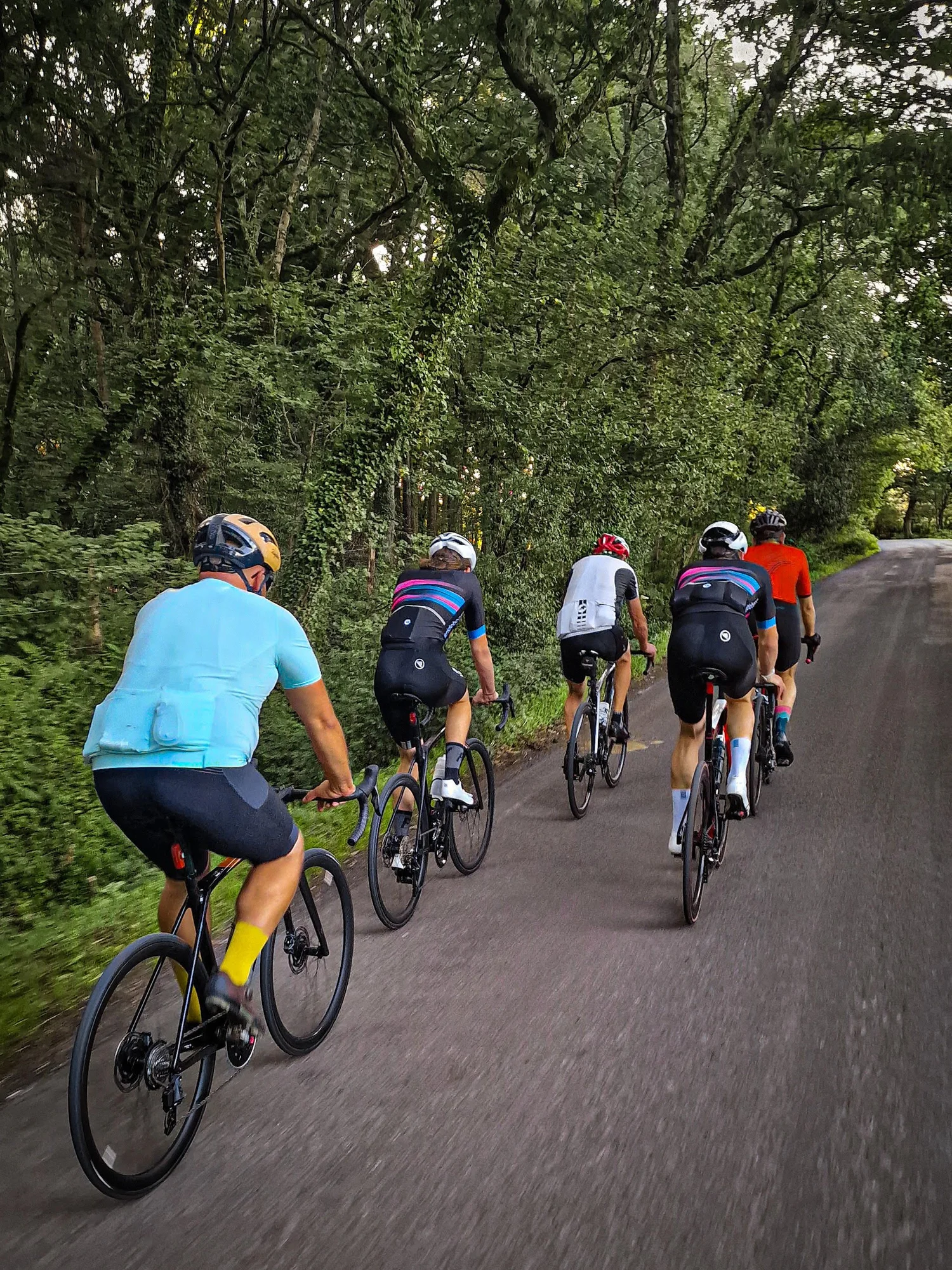 Specialist Bike Shop - Boost Bike Hub