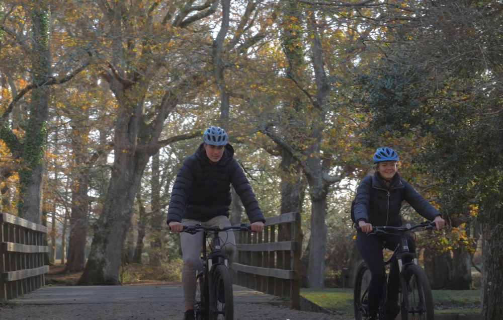 Specialist Bike Shop - Boost Bike Hub