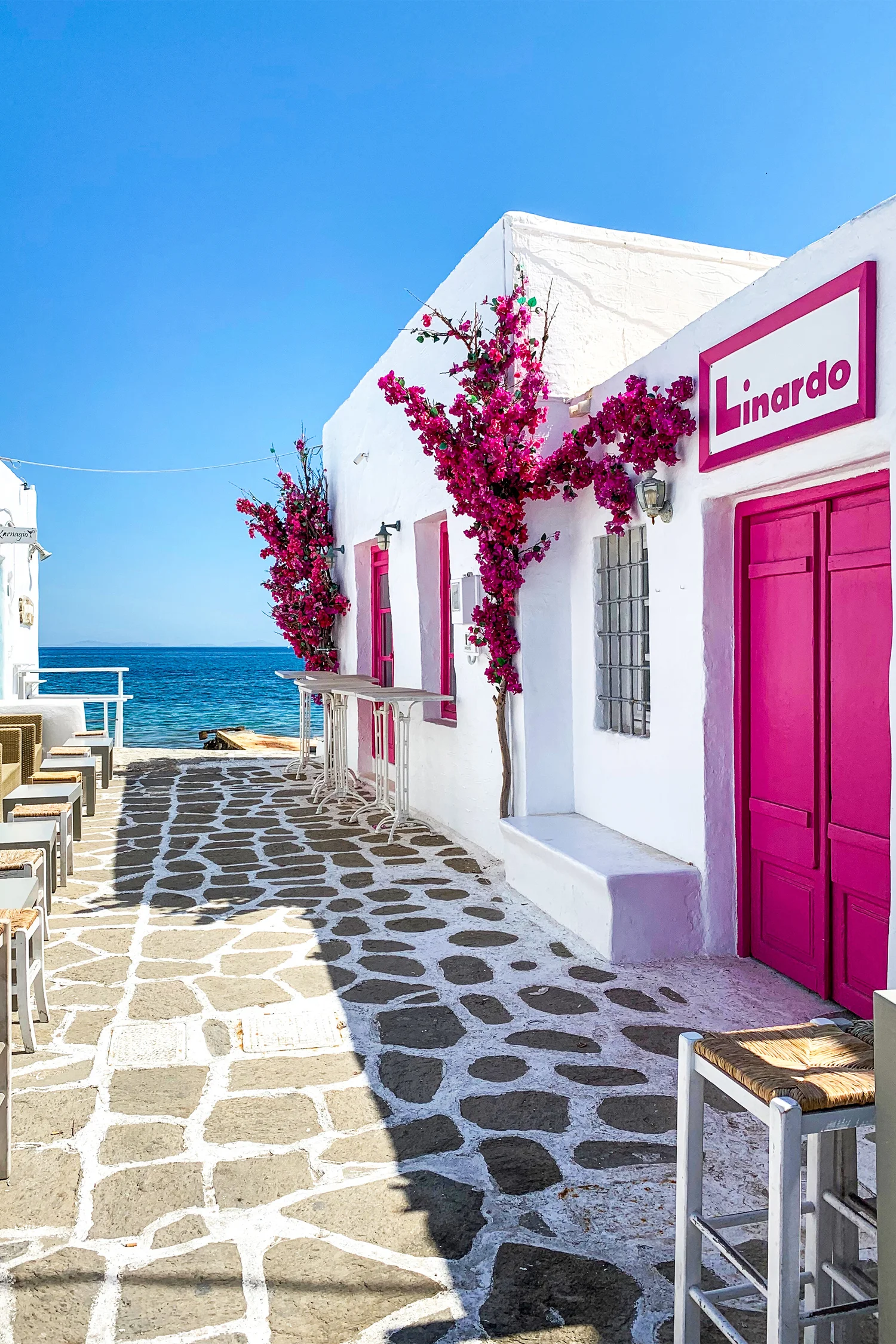 paros — sosuchjelly