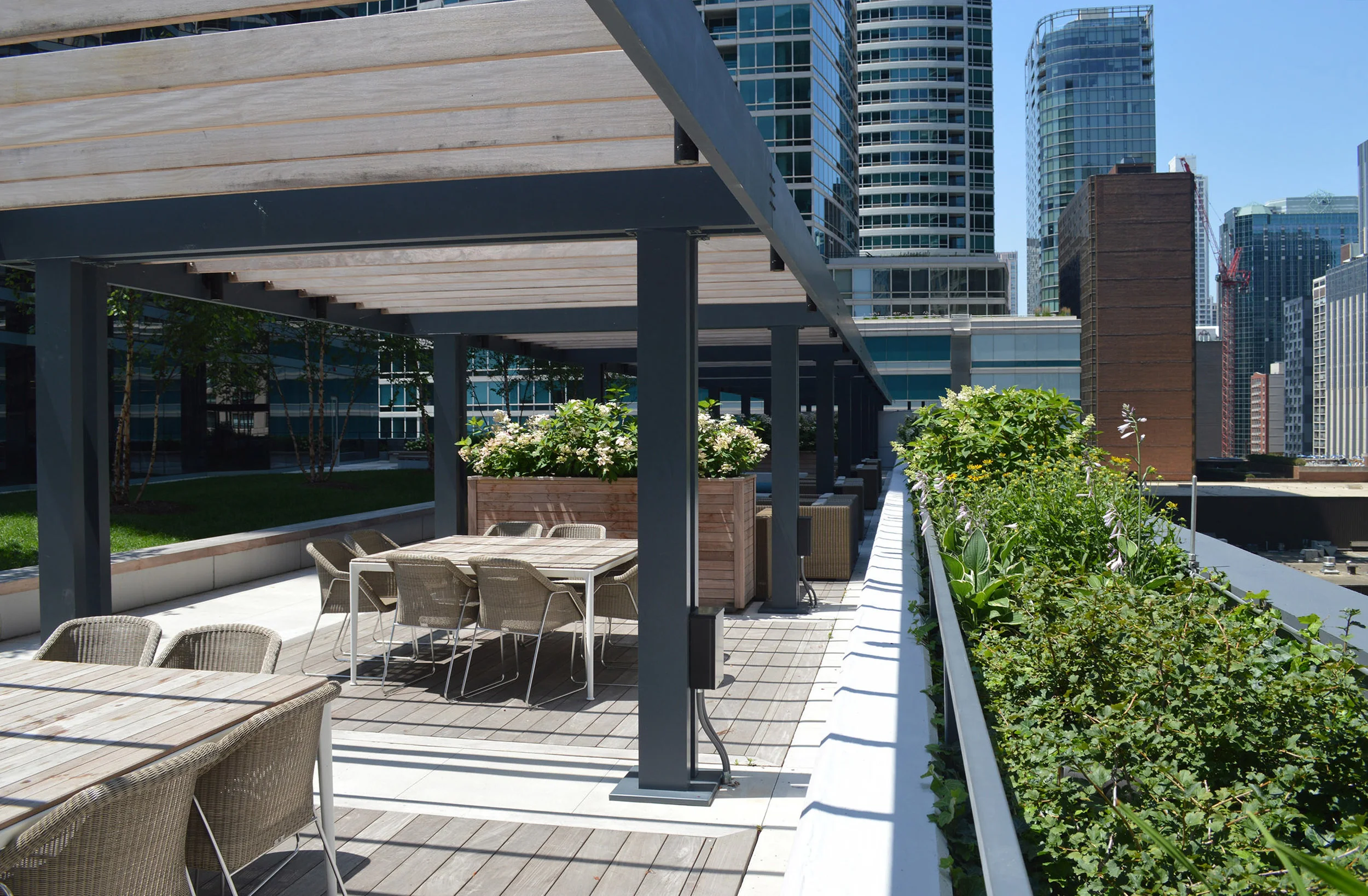 High Rise Amenity Decks — Daniel Weinbach & Partners ltd.