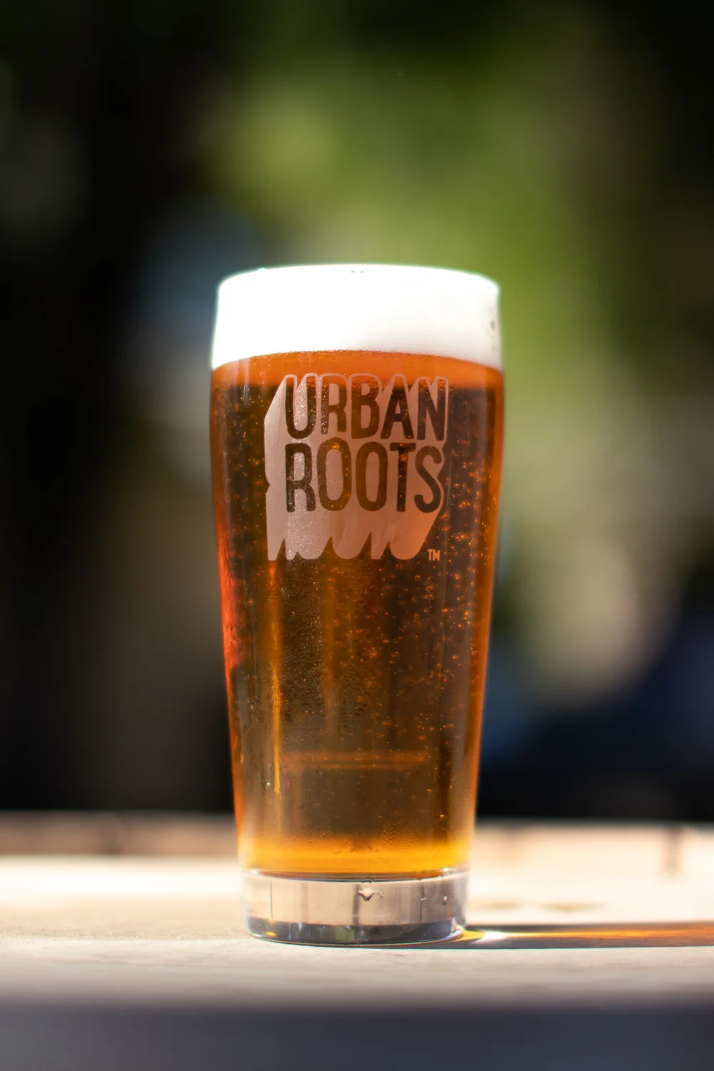 Your Weekly URB Update: Yes, we're still open! — Urban Roots® | Craft ...